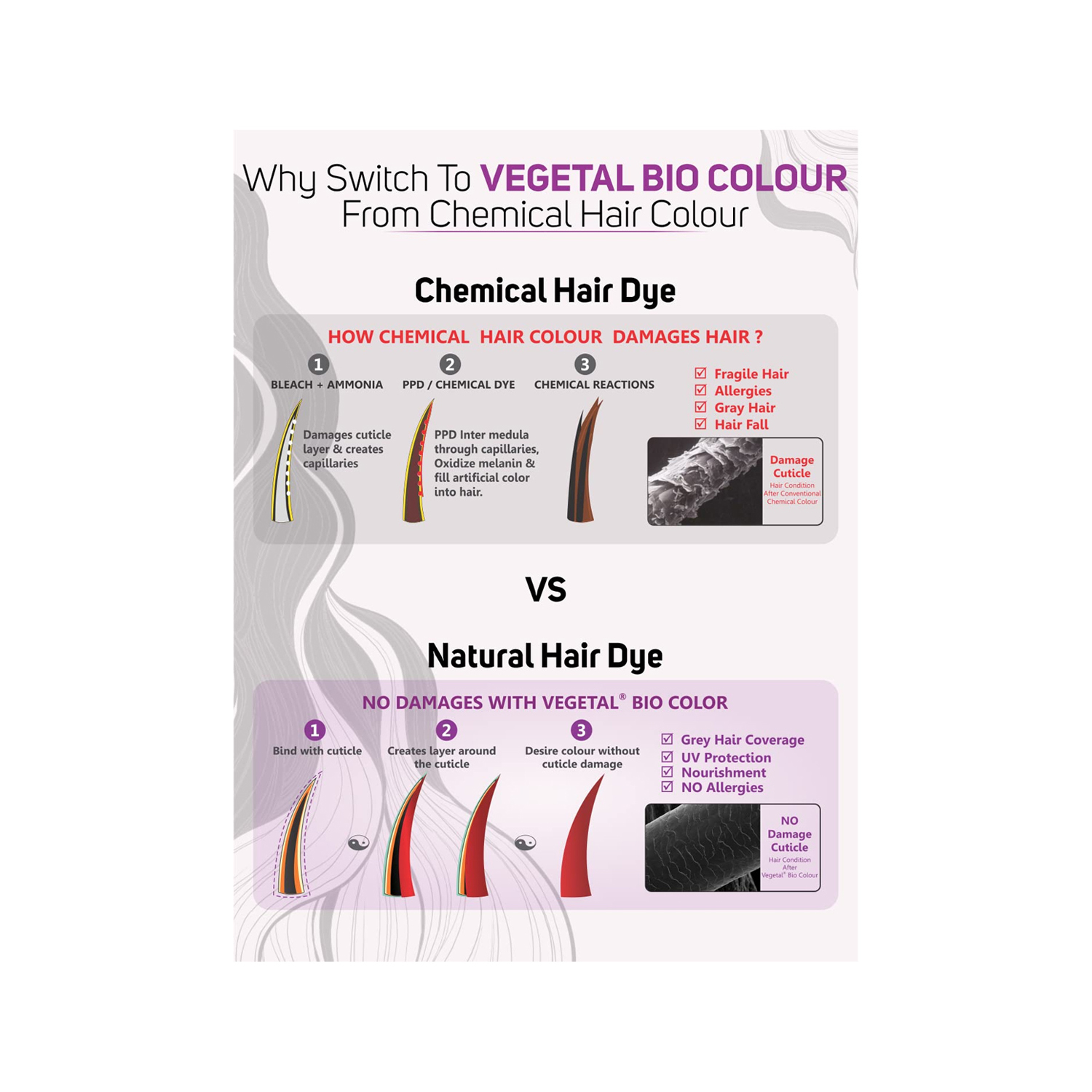 Buy Vegetal Bio Colour Soft Black 50 GMS Online at Best Price In India ...