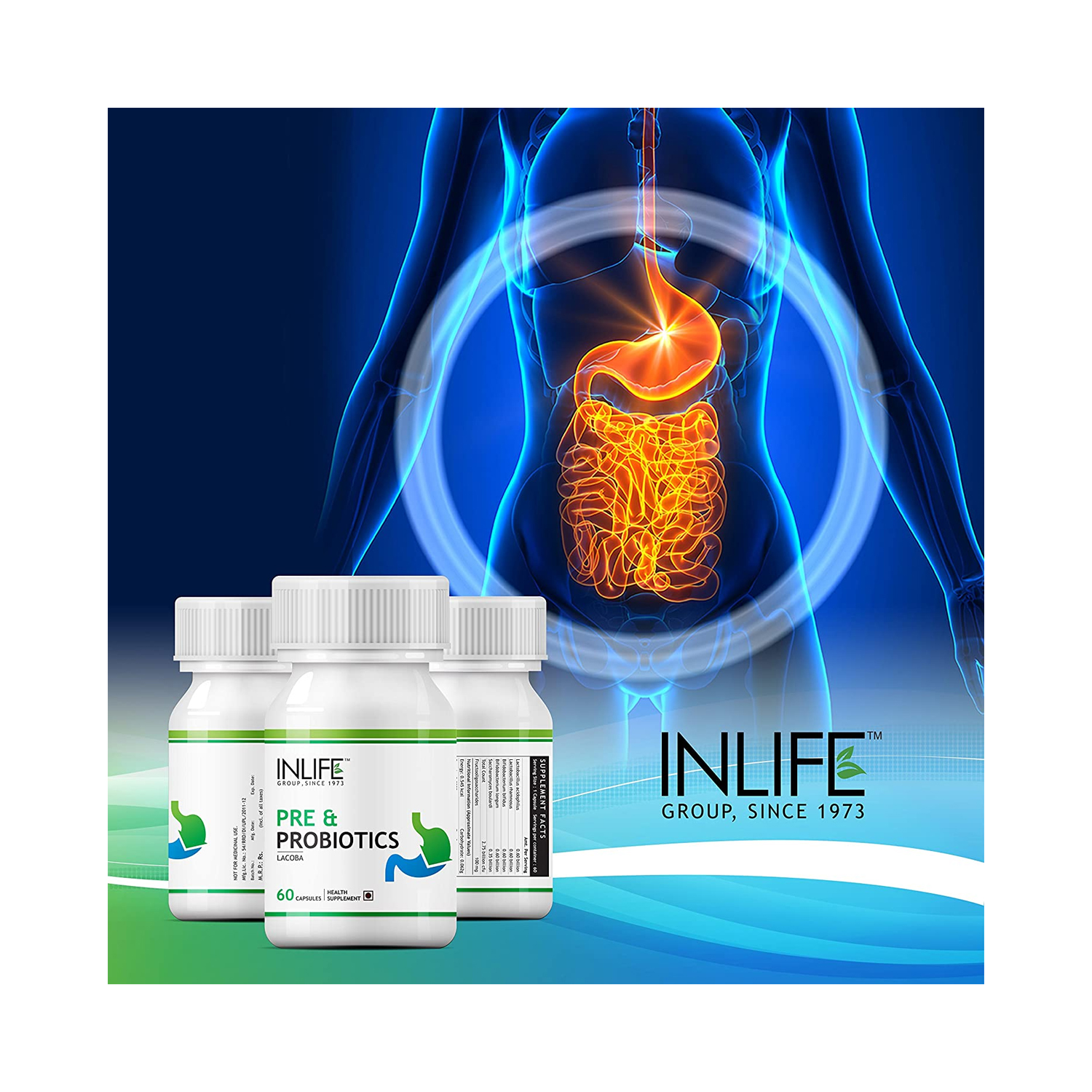 INLIFE Pre and Probiotics Supplement for Men Women (60 Capsules)