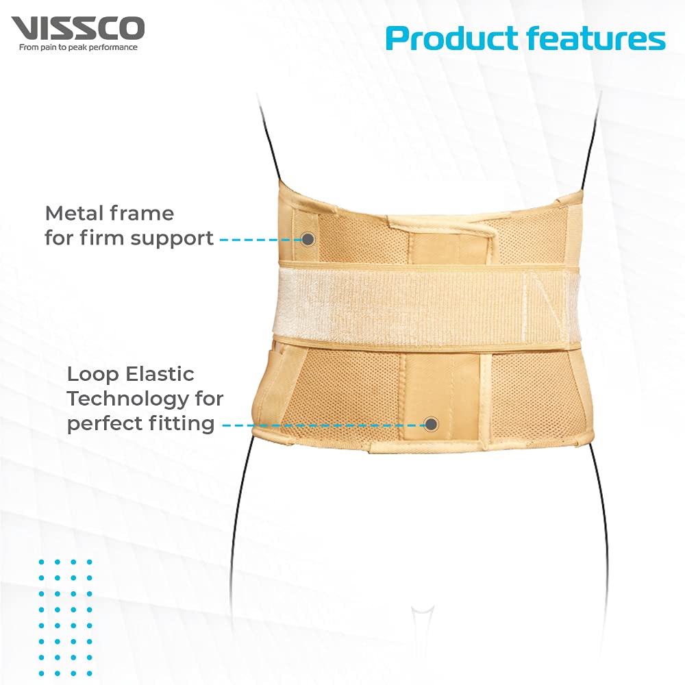 Vissco Deluxe Frame Back Support Large Rs - 936