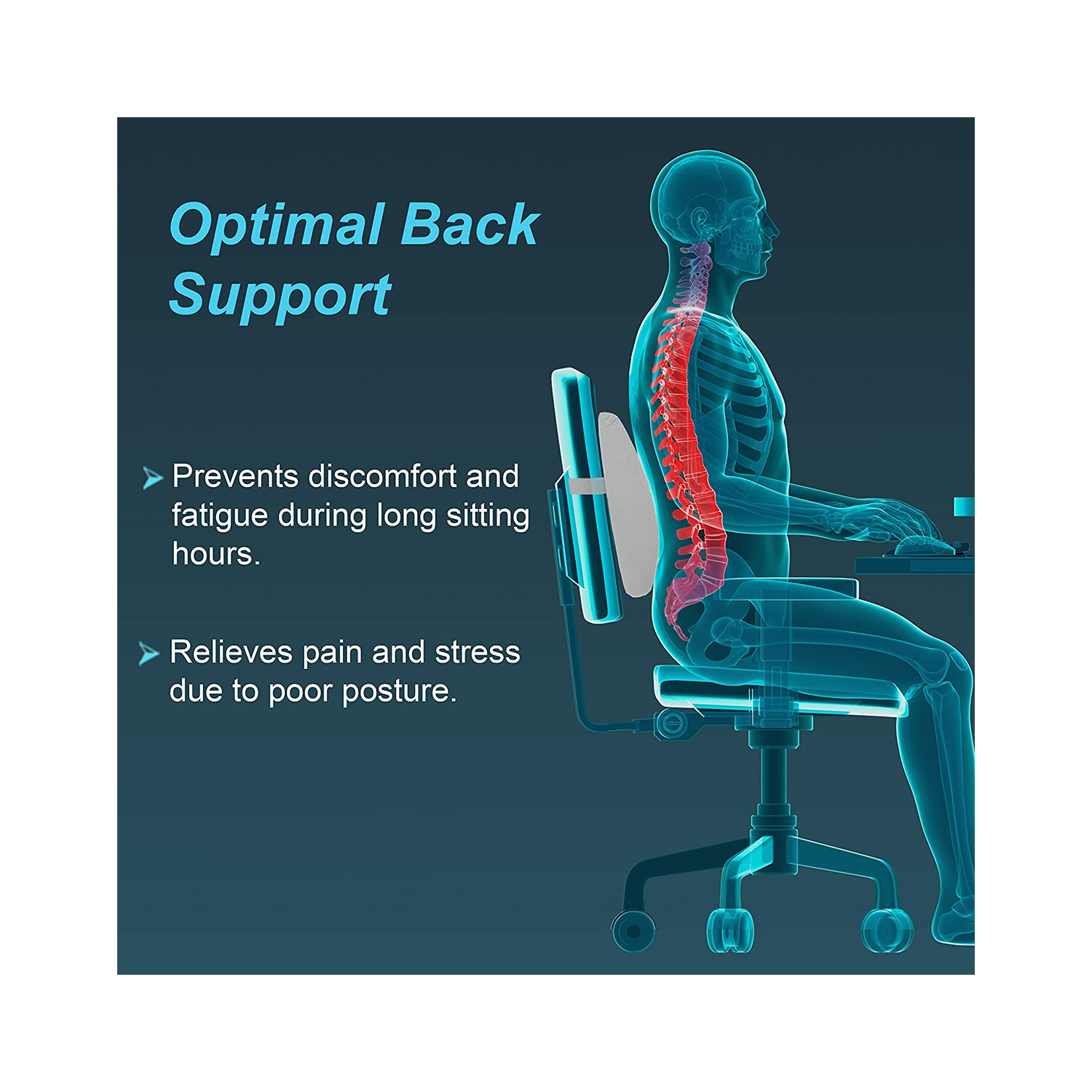 Buy Tynor Lumbo Back Rest I-91 Universal - Cureka