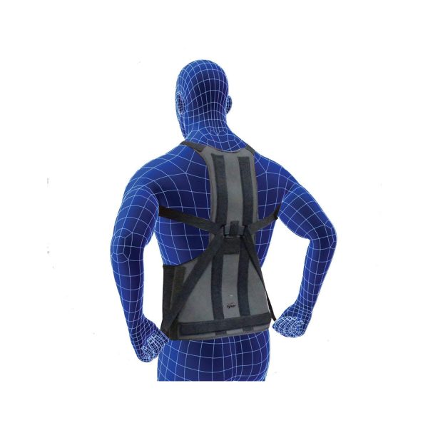 Tynor Taylor Brace Long Special - Cureka - Online Health Care Products Shop
