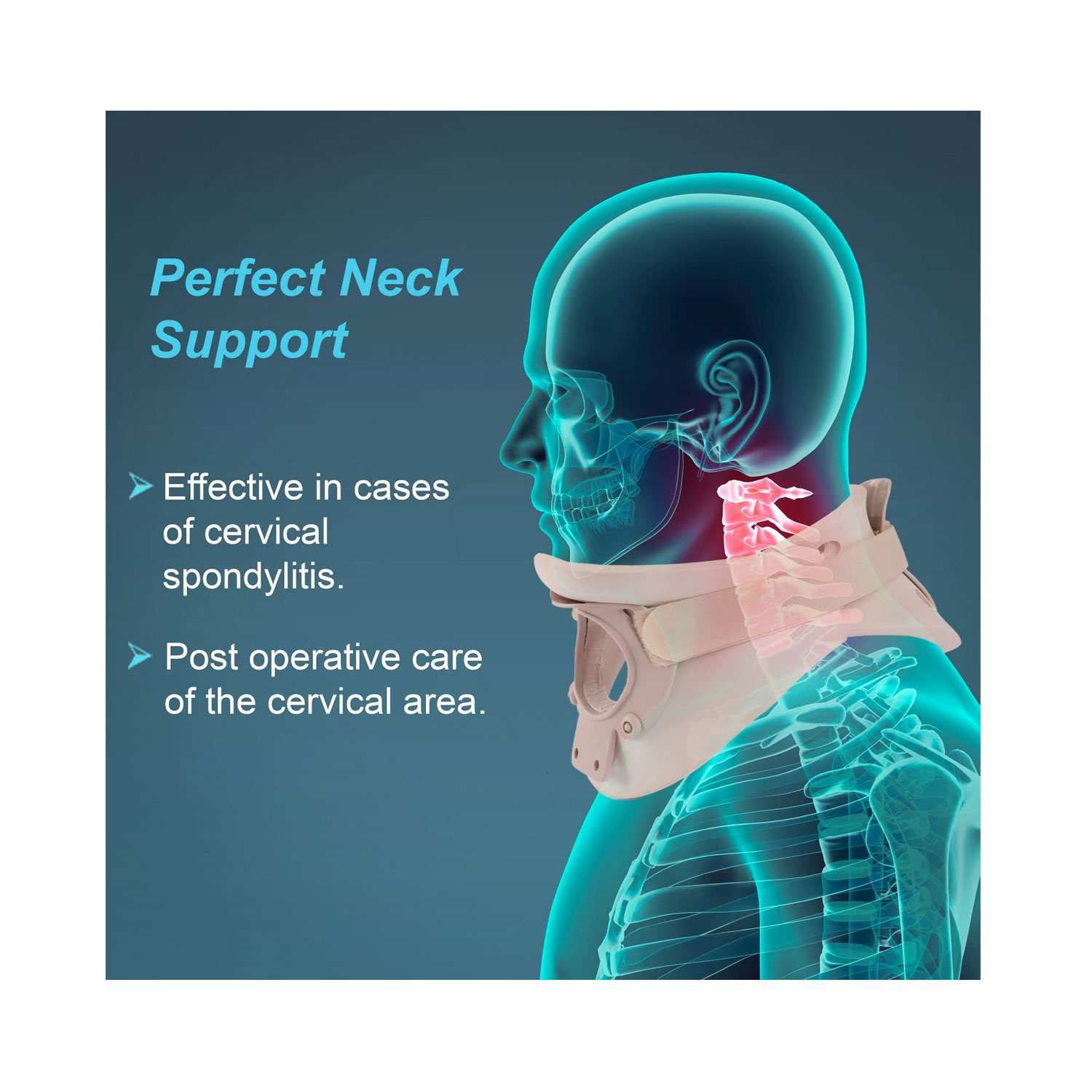 Tynor Cervical Orthosis (Philadelphia) Ethafoam Small