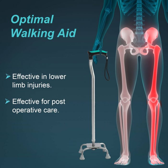 Tynor Walking Stick Quadripod Silver Universal Size 1 Unit (L-12 ...