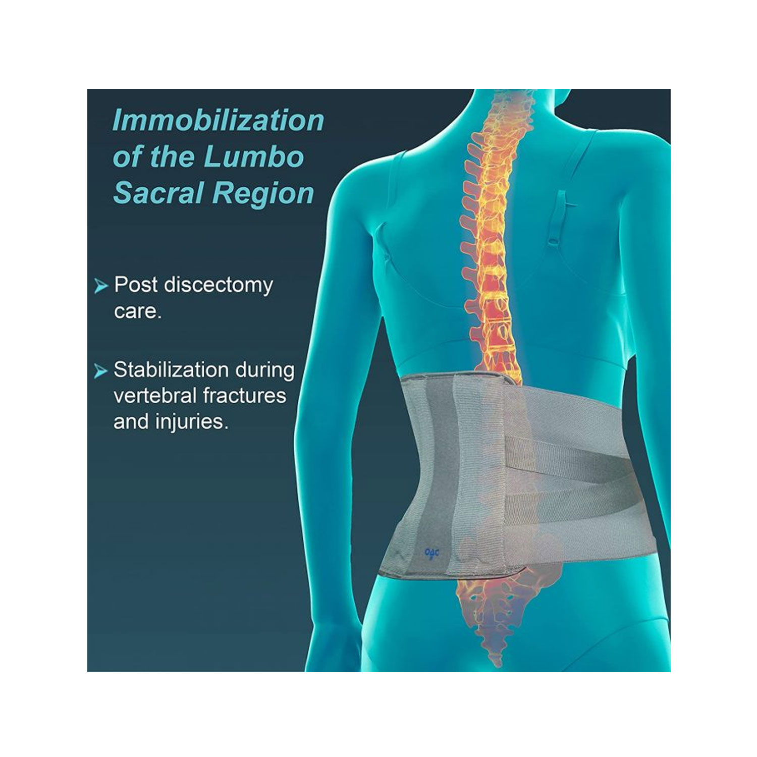 Tynor OAC Contoured LS Belt - Large L-01 - Cureka - Online Health Care ...