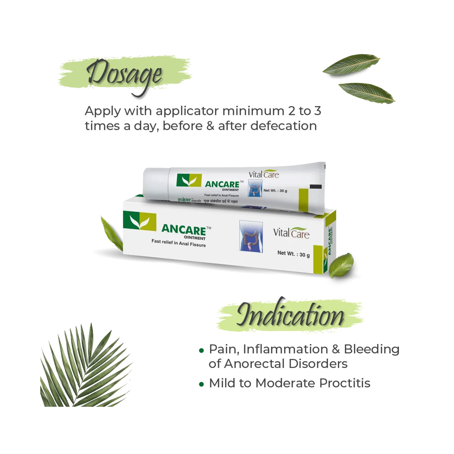 Vital Care Ancare Ointment An Ayurvedic Piles Cream 30g (Pack of 2 ...