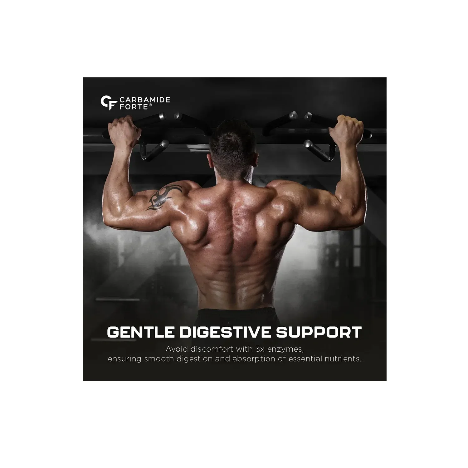 Carbamide Forte Whey Isolate Matrix Protein Powder Malai Kulfi Flavour ...